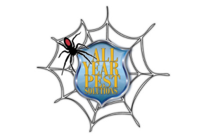 Rugby Union Club Kenmore - Kenmore Rugby Club